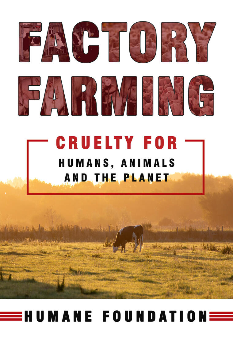 Factory Farming: Cruelty for Humans, Animals, and the Planet by Humane ...