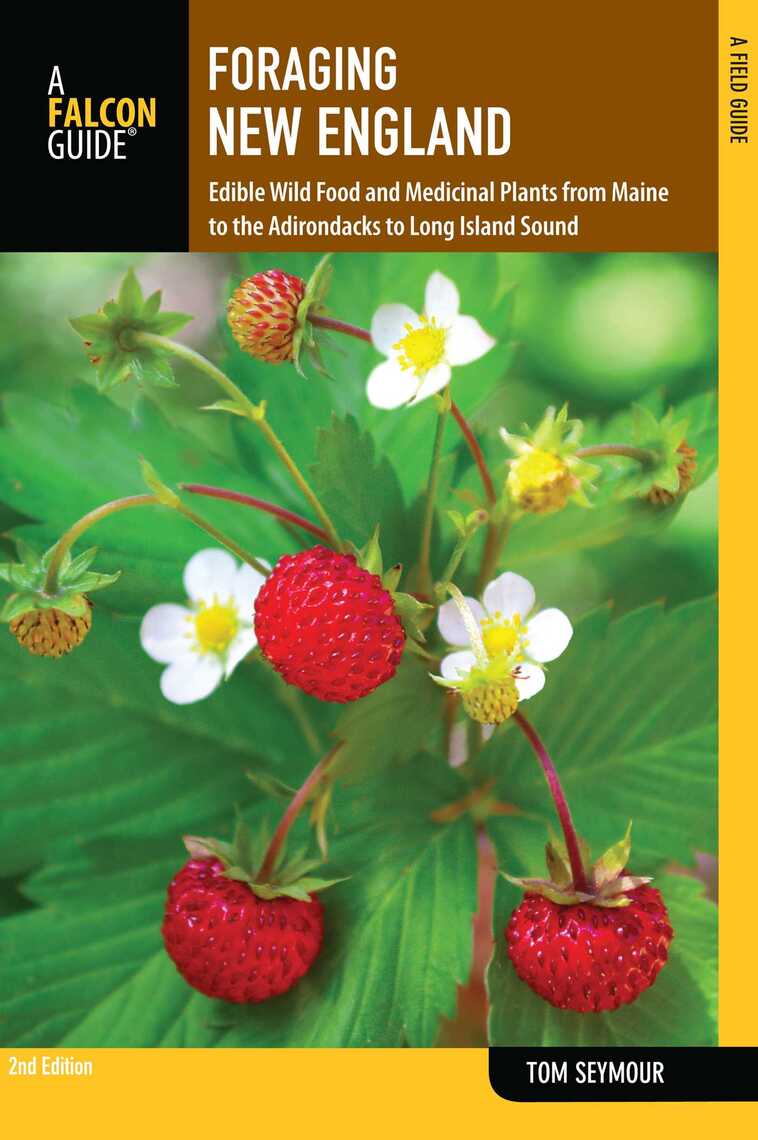 Foraging New England by Tom Seymour (Ebook) - Read free for 30 days