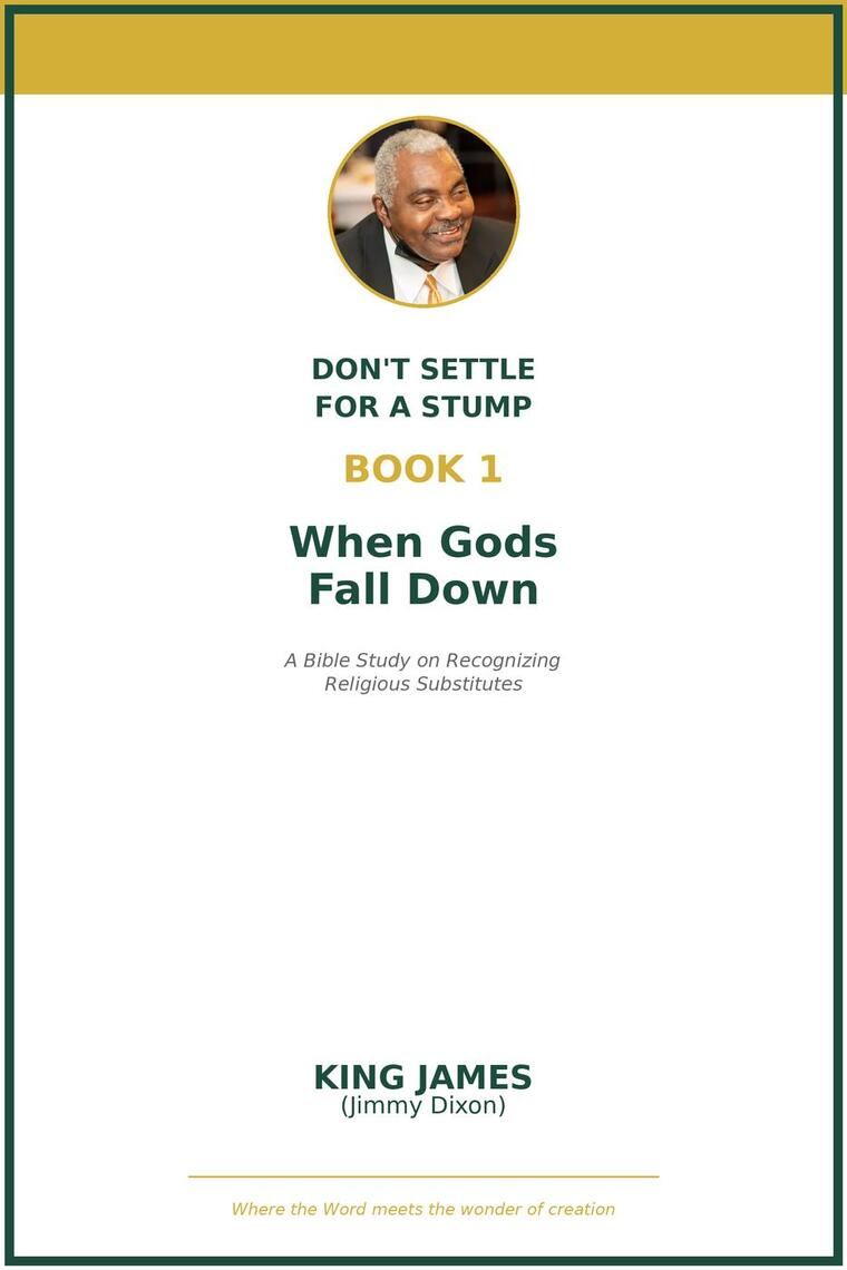 When God's Fall Down by Jimmy Dixon (Ebook) - Read free for 30 days