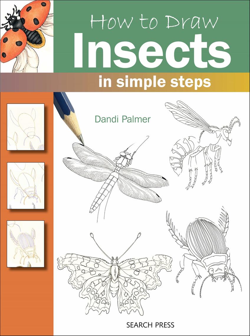 How to Draw: Insects by Dandi Palmer (Ebook) - Read free for 30 days